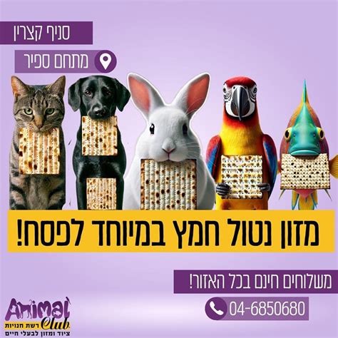 אנימל קלאב חנות חיות ברמת הגולן קצרין פסח טעים ובטוח לחיות המחמד