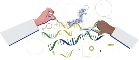 Partnership Stemloop