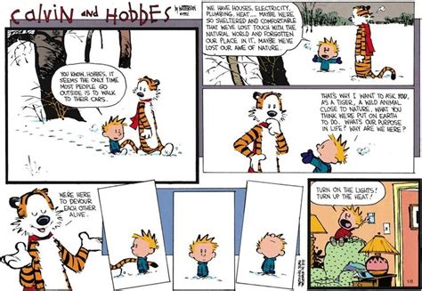 Calvin And Hobbes By Bill Watterson For February 23 1992 Calvin And Hobbes