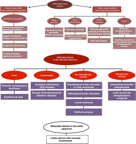 Translated Article Reticulate Skin Lesions Practical Color Based