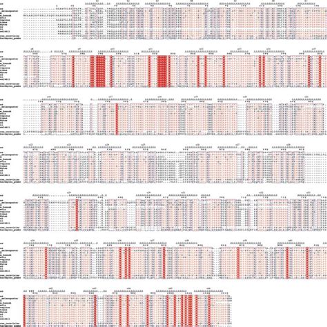 mms19 sequence alignment used to map evolutionary conservation in fig