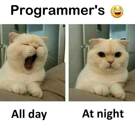 I Am Programmeri Have No Life