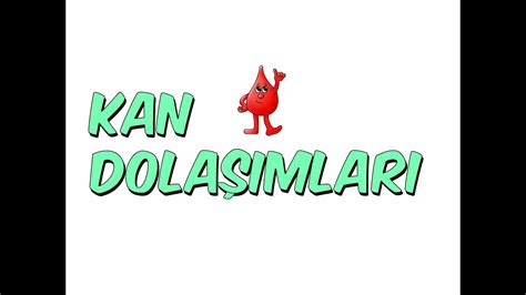 8dkda Kan DolaŞimlari 6 Sınıf Youtube