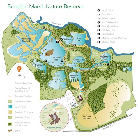 Jacqui Bricknell Environmental Interpretation Brandon Marsh Sssi Map