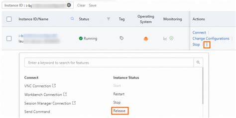 create a linux instance on the custom launch tab in the ecs console and