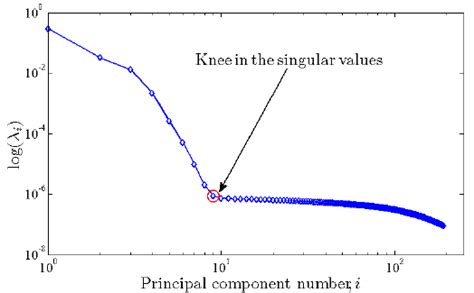 The First Four Left Eigenvectors Of E C Download Scientific Diagram