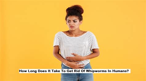 How Long Does It Take To Get Rid Of Whipworms In Humans Businesszag