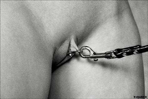 Black And White Porn Pictures Xxx Photos Sex Images 1210128 Pictoa