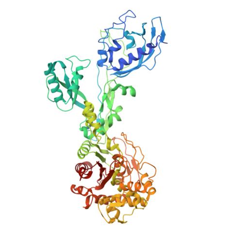 Rcsb Pdb 6c84 Crystal Structure Of Pbp5 From Enterococcus Faecium