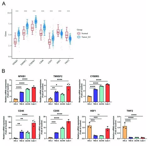 The Expression Of Monkeypox Related Genes In KIRC A Gene S