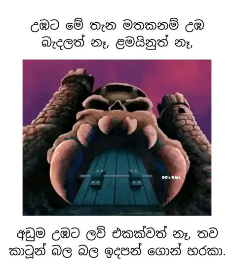 සලලෙමයිලා හුළංකීරි 🧚 On Twitter Rt Nadunkodagoda 💯💯💯💯 Correct Mchn Thamath Balanawa 😂😂🍻