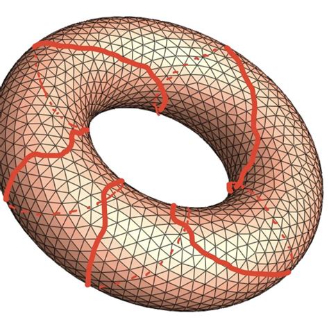 A Loop R Winds Around The Torus 5 Times Download Scientific Diagram