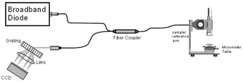 The Spectral Domain Oct Setup The Broadband Light Source Is A Download Scientific Diagram