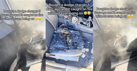 A Quantum Computer Simulation Has Reversed Time” And Physics May Never Be The Same Twistedsifter