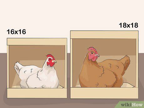 How To Build Nesting Boxes Simple Step By Step Guide