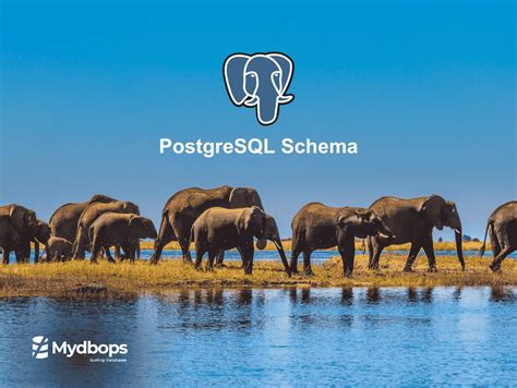 Postgresql Schema Database Security Data Organization Optimization Datasecurity