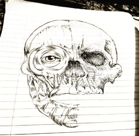 Hello I Recently Completed The Autopsy Course And I Would Like To Share The Drawings I Made In