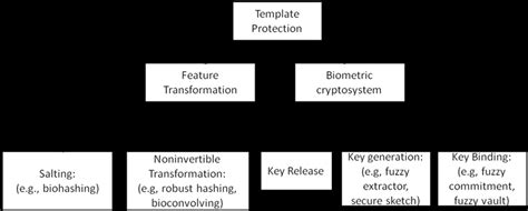 Categories Of Biometric Template Protection 6 Download Scientific Diagram