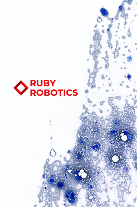 Ruby Robotics Link Ventures