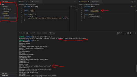 How To Import Local Package Into Another Project Code Review Go Forum