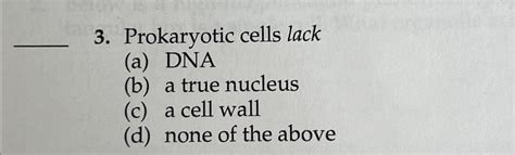 Solved Prokaryotic Cells Lack A DNA B A True Nucleus C Chegg Com