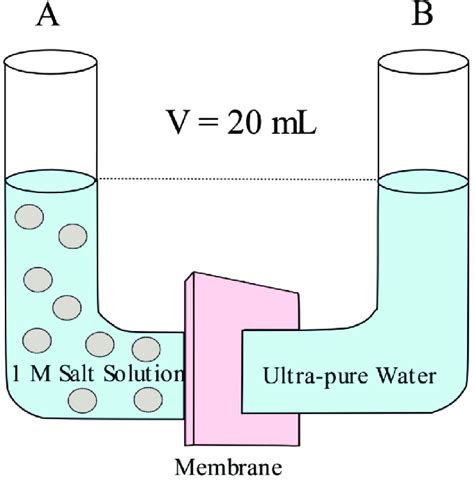 Schematic Figure Of U Type Diffusion Dialysis System Deligöz Et Al