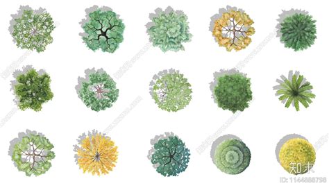 景观彩平水彩拼贴风平面树psd免抠贴图下载【id1144888798】【知末网贴图库】