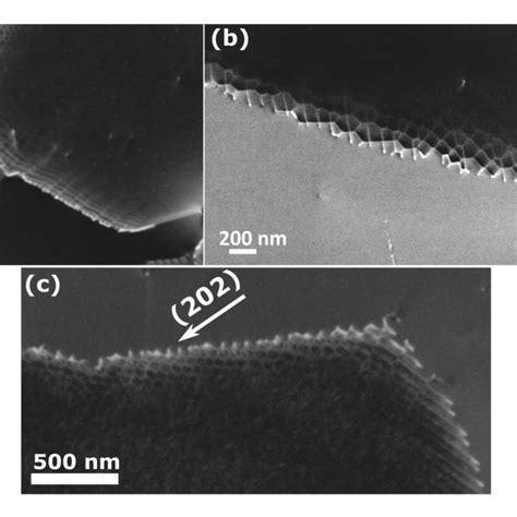 Dislocation Analysis Of A Complex Sub Grain Boundary In Uo2 Ceramic Using Accurate Electron