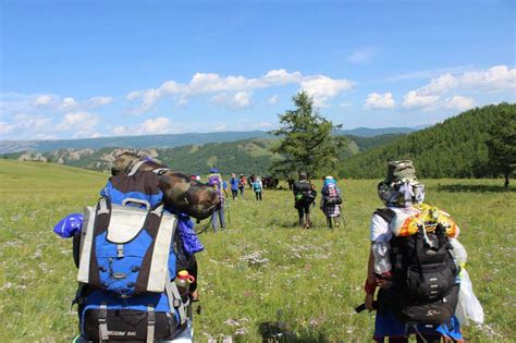 Зөвлөмж Бид ой тайга тал хээрийн бүсэд явган аялалд явах үед модны өндөр гол хавцалын өргөн