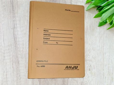 6000 Cardboard Spring Clip Orange Cobara File Size A4 At ₹ 18 Piece In New Delhi