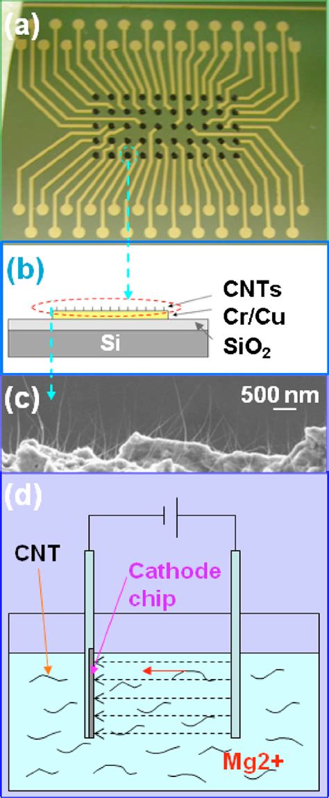 Figure 1 From A Carbon Nanotube Field Emission Multipixel X Ray Array Source For