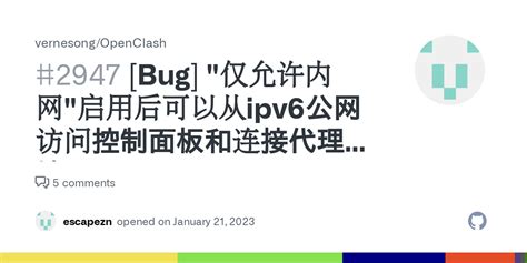 Bug 仅允许内网启用后可以从ipv6公网访问控制面板和连接代理端口 · Issue 2947 · Vernesong
