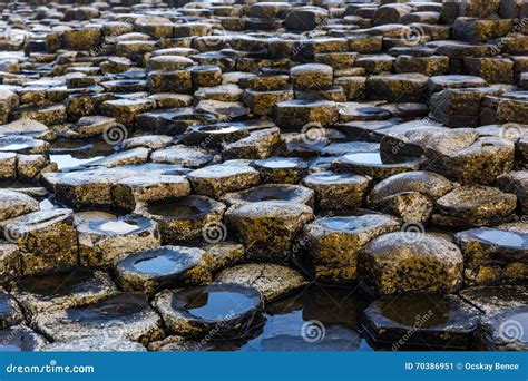 Basalt Columns Of Giants Causeway Stock Image Image Of Causeway Natural 70386951