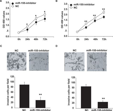 Mir 155 Inhibitor Decreases Proliferation And Invasion Of Uveal