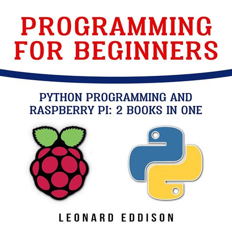 Programming For Beginners Python Programming And Raspberry