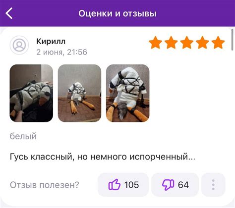 Каждый из нас в душе немножечко гусь Приколы для даунов Nsfw отзывы Wildberries гусь