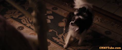 Margot Robbie Sex Scene Eporner Margot Robbie Sex Scene Eporner