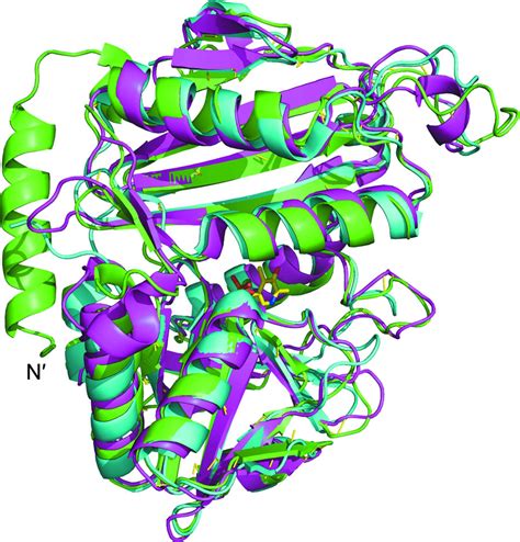 Iucr Crystallographic Characterization Of The R Selective Amine