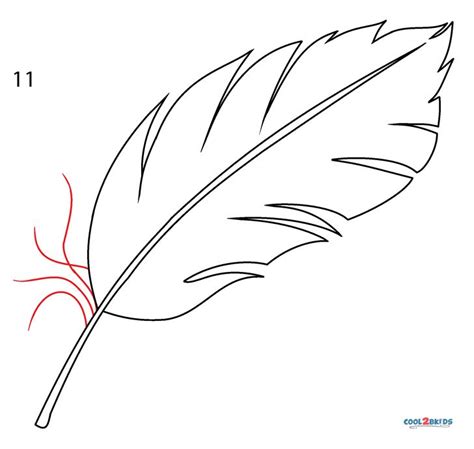 How To Draw A Feather Really Easy Drawing Tutorial Artofit