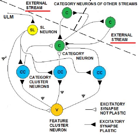 Two Concept Associative Nodes These Are Inter Stream Interconnections