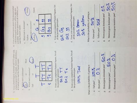 50 Genetics Worksheet Answers Key