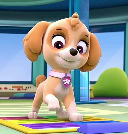 Пин от пользователя Cyril Barthélémy на доске Paw Patrol Спаниель