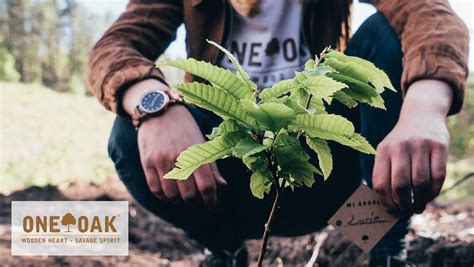 Carbon Footprint Calculation Of Watches