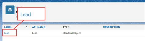 Includes Function In Salesforce