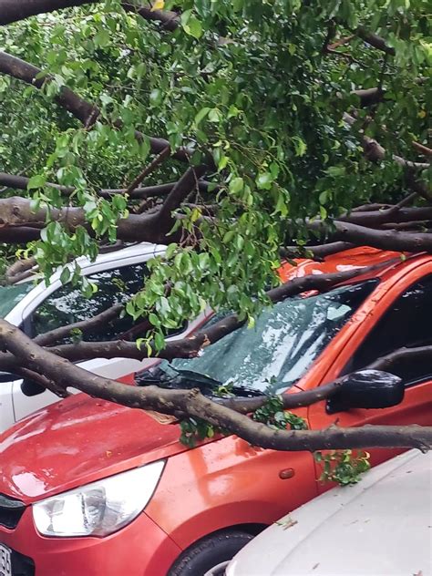 Nimal Wickramasinghe Posted On Linkedin