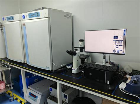 设备实拍｜juli™ Stage活细胞成像分析系统对肝脏类器官成像实拍 知乎