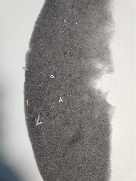 Whole Letters In The Lint Trap Of My Dryer Rmildlyinteresting