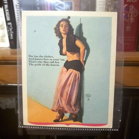 Pinup Girl Harem Etsy