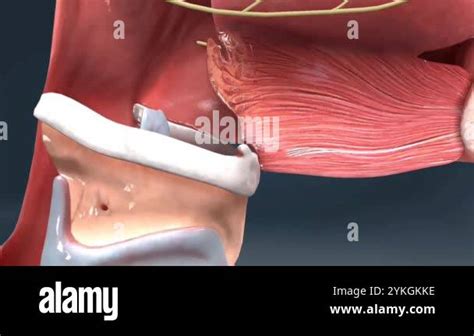 Tasting With Tongue Stock Videos Footage Hd And K Video Clips Alamy