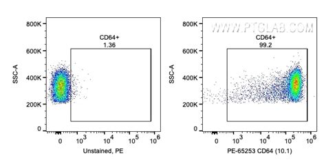 Cd64 Antibody Pe 65253 Proteintech